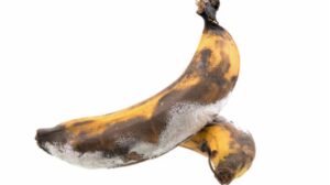 Why Bananas Rot so Fast and Turn Black - Journal of Bananas